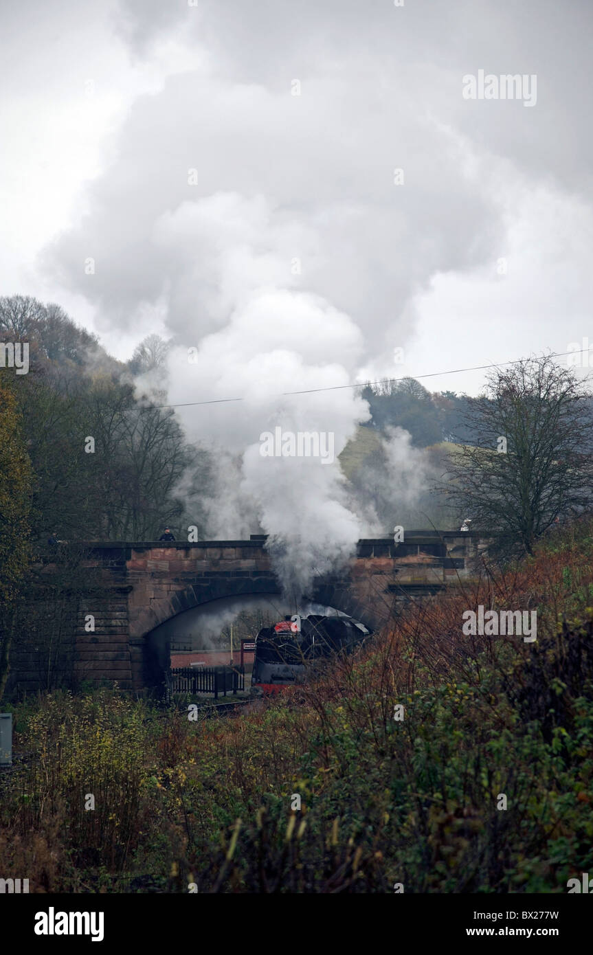 Duke of Gloucester steam train emerging from bridge Stock Photo - Alamy