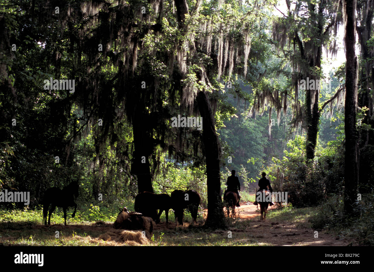 Alabama America Battle of Selma Civil war reconstruction Color Colour ...