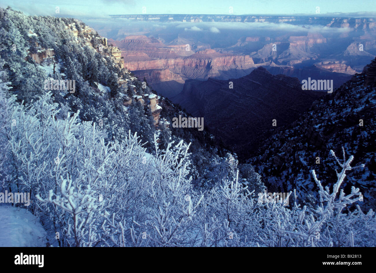 America Arizona Color Colour Grand Canyon national park Snow south rim ...