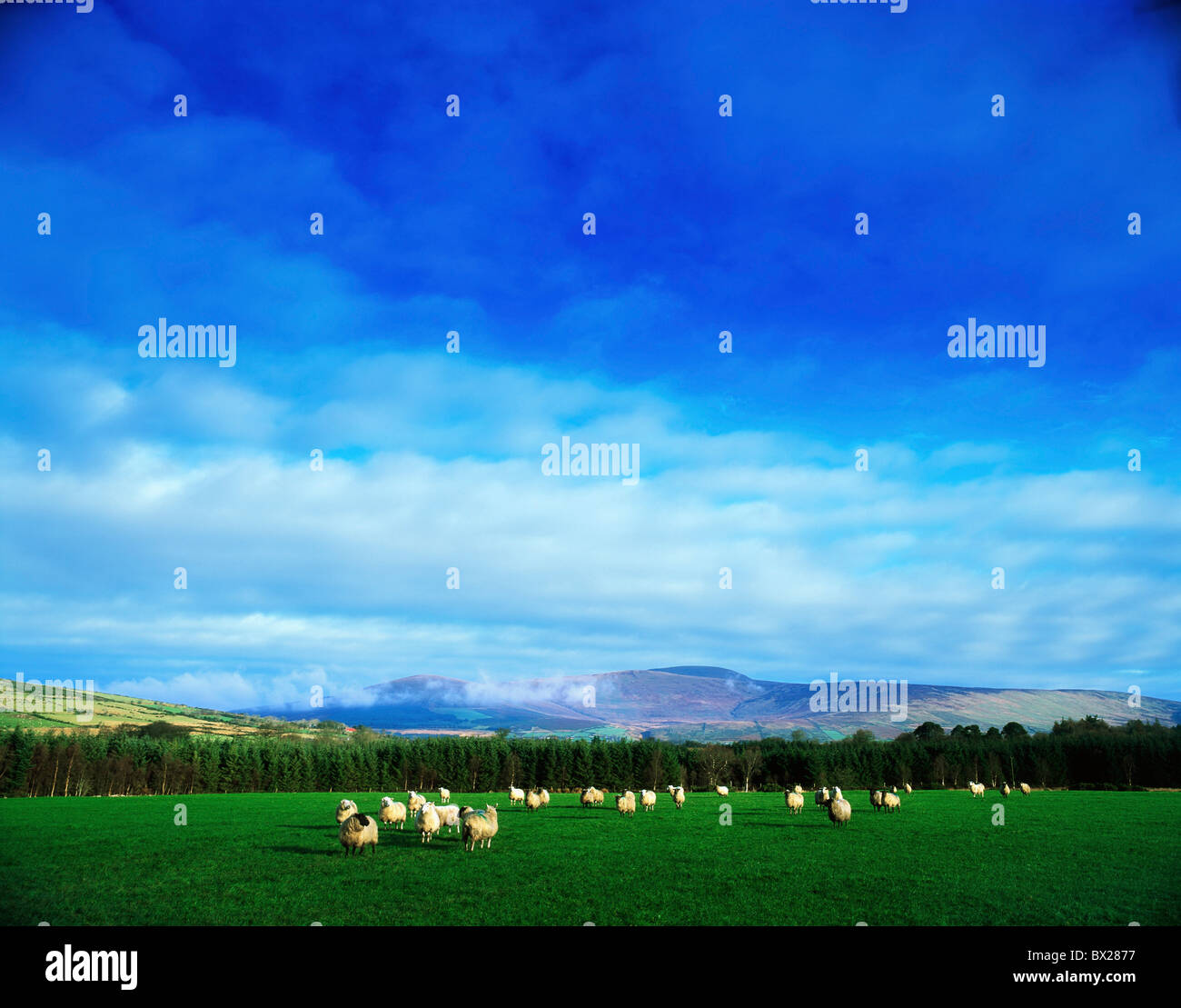 County Wicklow, Ireland Stock Photo - Alamy