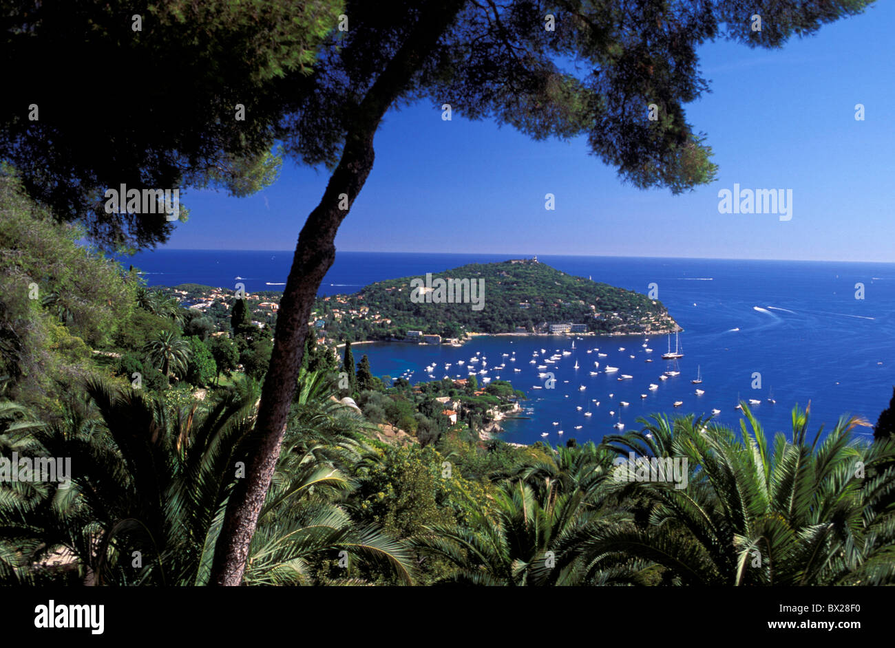 Cap Ferrat Cape Ferrat Color Colour France Europe Provence Alpes Cote d ...