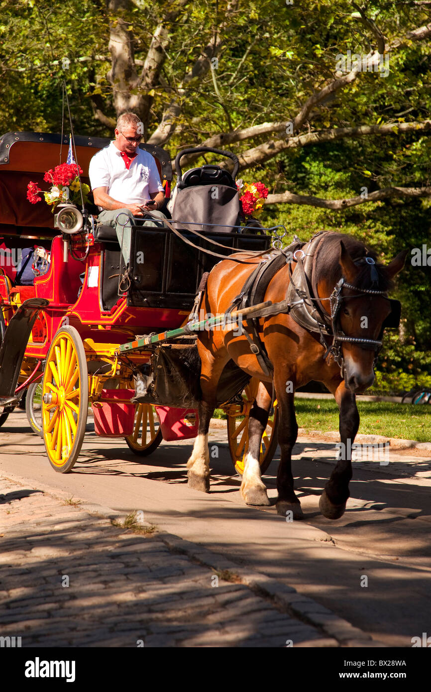 Carriage driver driving carriage hi-res stock photography and images ...