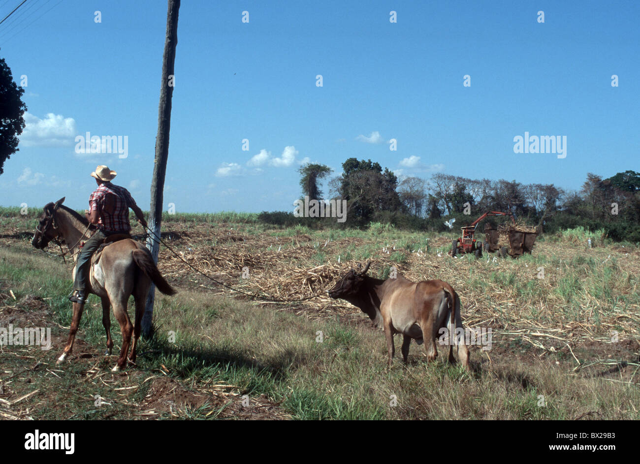 Region oriente hi-res stock photography and images - Alamy