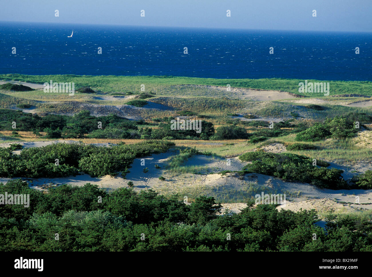 scenery sand dunes dunes beach seashore coast sea cape Cod national ...