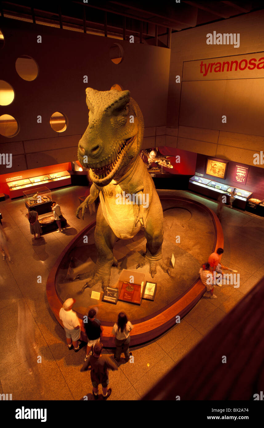 America Boston Dinosaur Dinosaurs Massachusetts Museum of Science ...