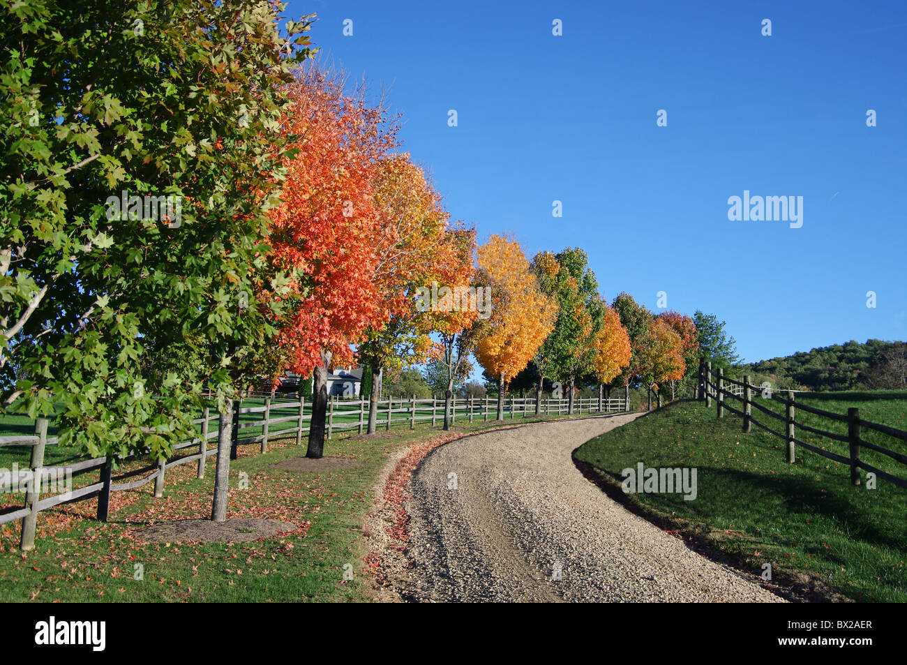 Narrow winding country lane hi-res stock photography and images - Alamy