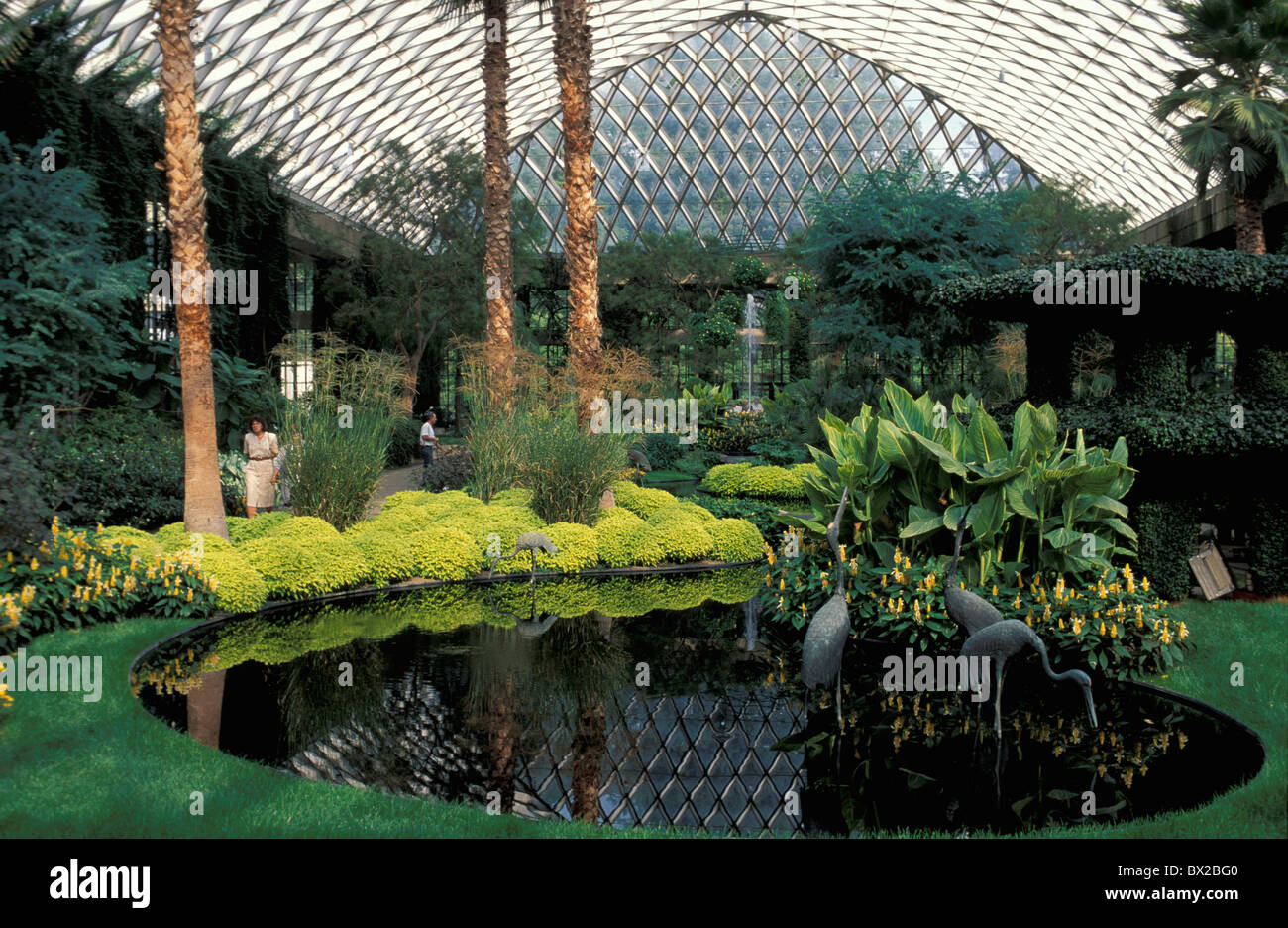botanical garden hall Halle inside pond plants greenhouse Longwood ...