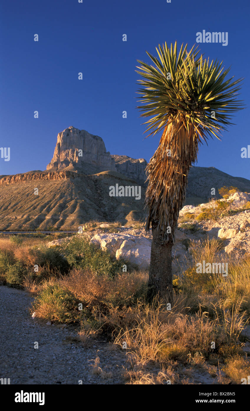 scenery steppe desert El Capitan Peak Guadalupe Mountains national park ...