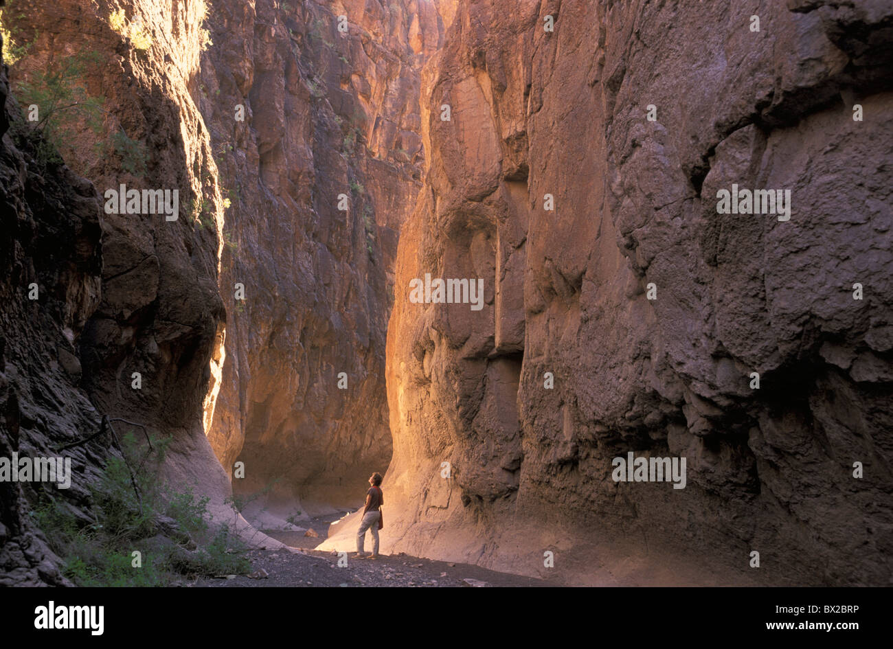 woman gulch cliff walls mood scenery Closed canyon Big Bend ranch State ...