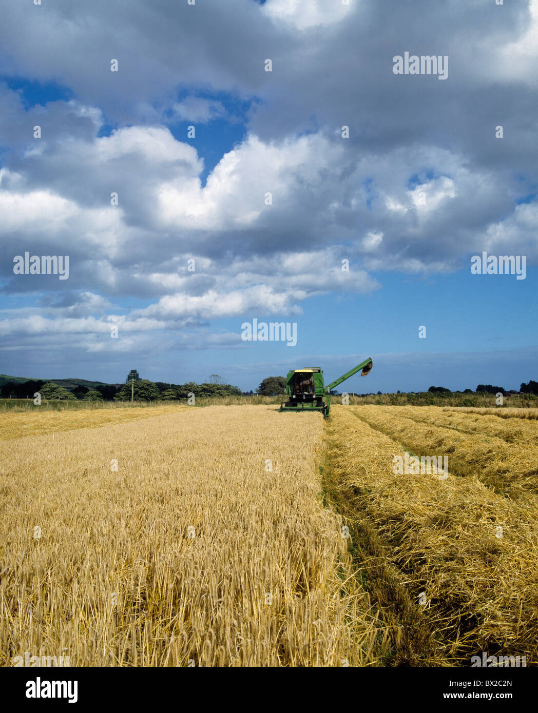 Harvester of foods hi-res stock photography and images - Alamy