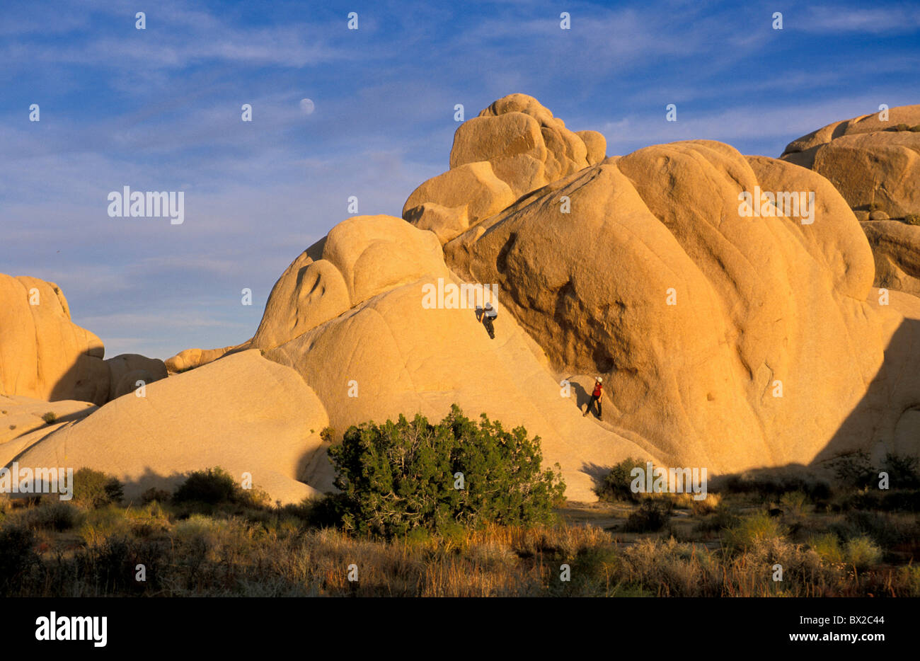 jumbo jet rock skirt rock cliff climbing Two climbers Joshua Tree ...