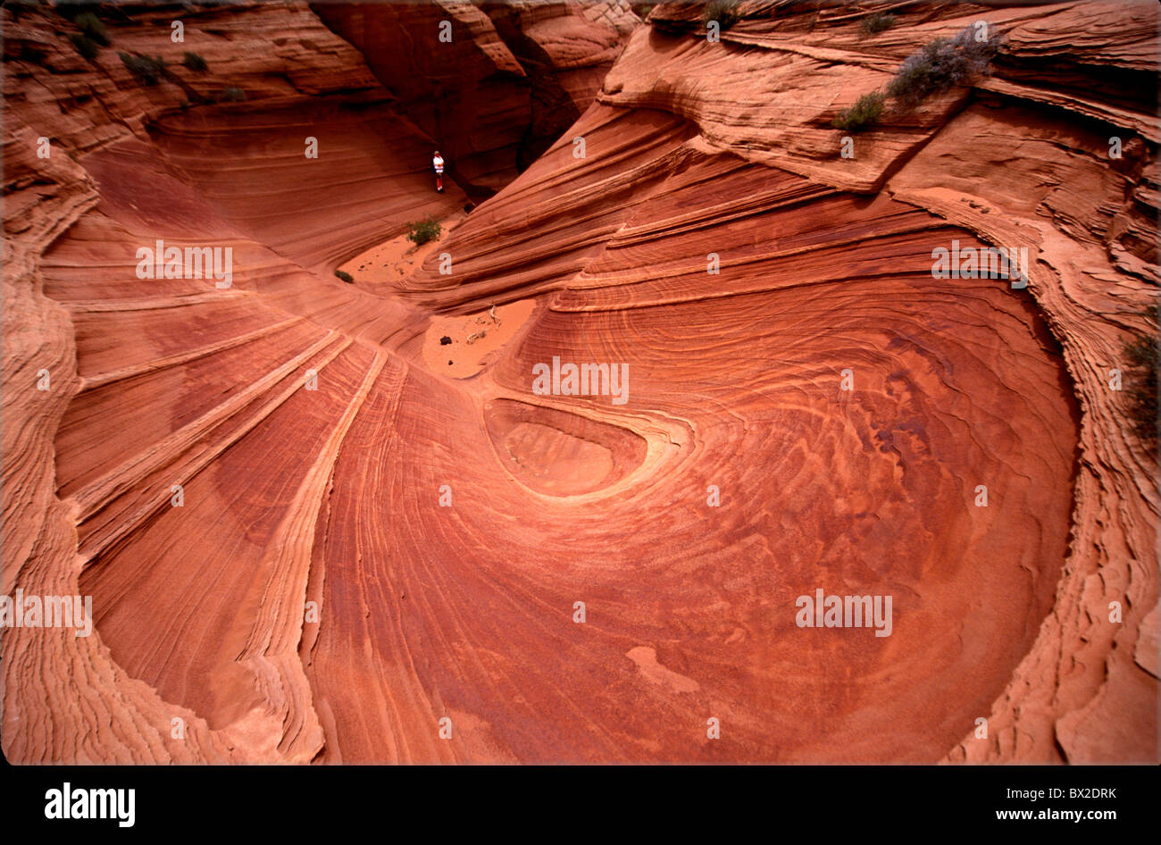 America Arizona Eroded Erosion Human Monument Monuments People Persons ...
