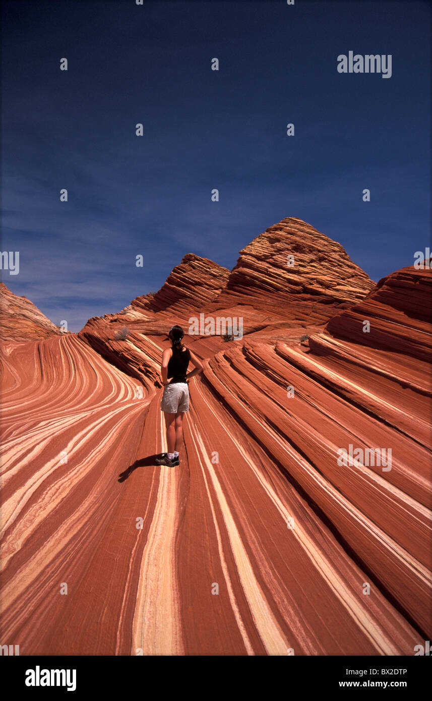 America Arizona Eroded Erosion Monument Monuments Rock Structure United ...