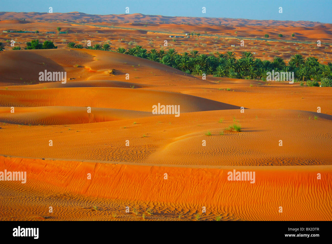 desert scenery sand dunes reddish oasis palms Al Ain united Arab ...