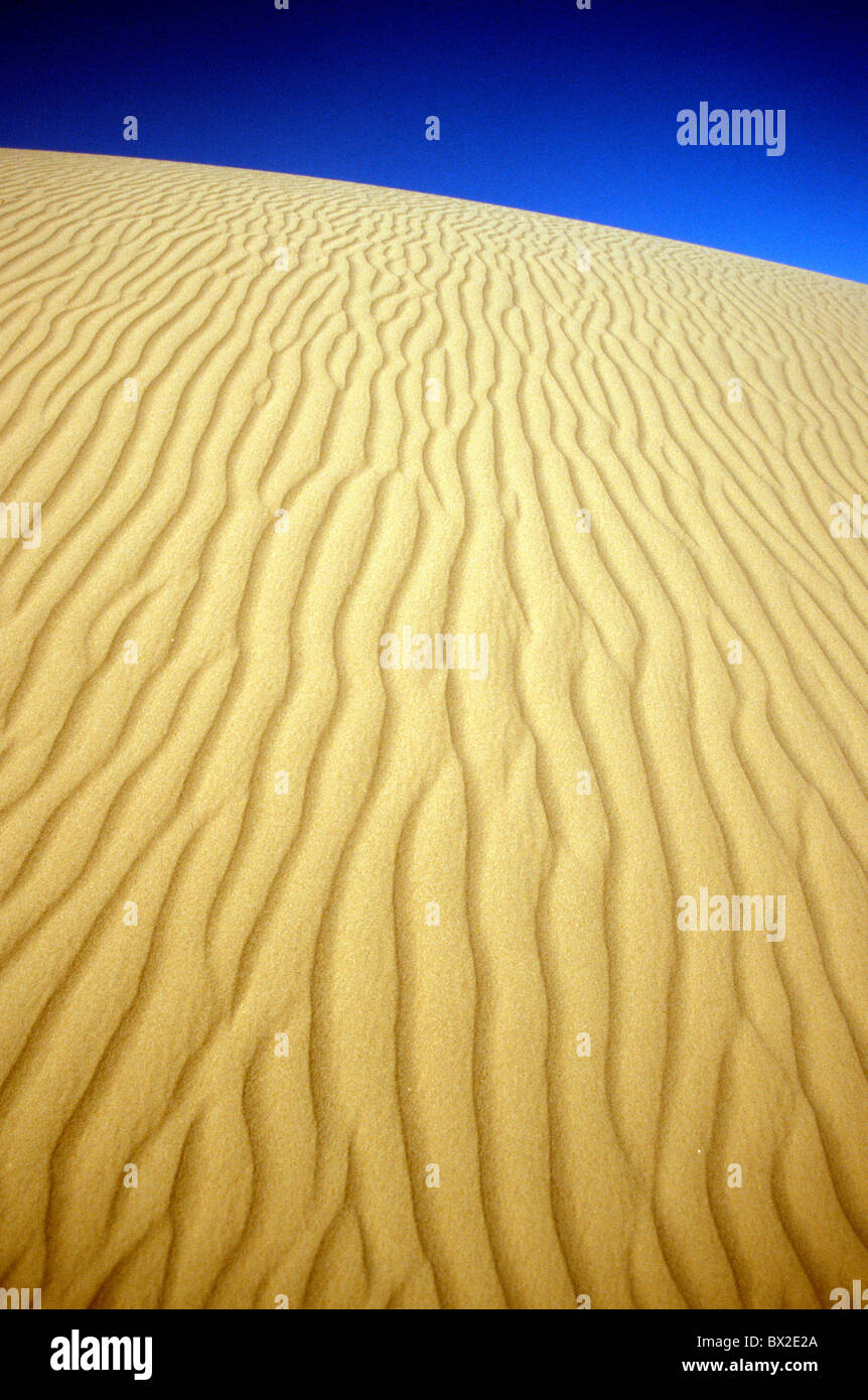 Algodones America California Desert Deserts Dune Dunes Imperial dunes ...