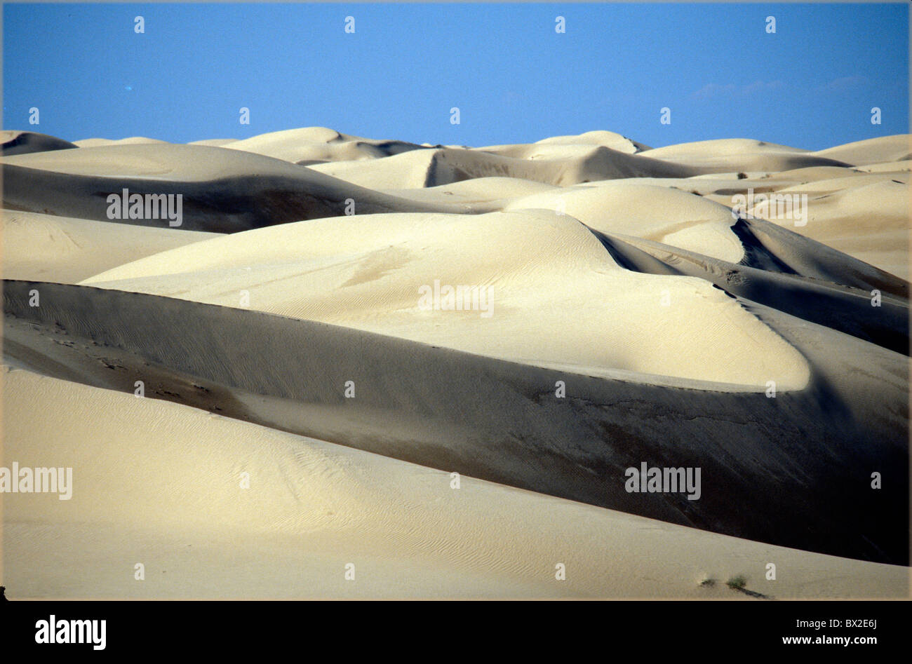 Algodones America California Desert Deserts Dune Dunes Imperial dunes ...