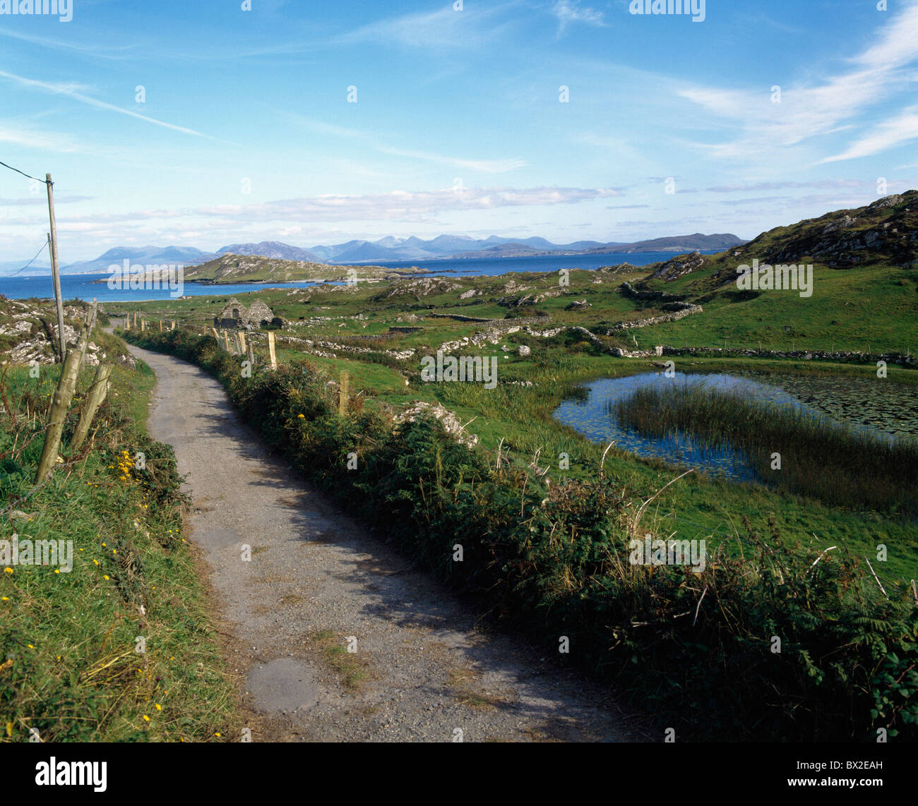 Irish Islands, Inishbofin Stock Photo - Alamy