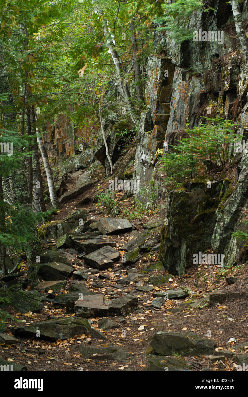 Whiteshell Manitoba Canada Stock Photo - Alamy