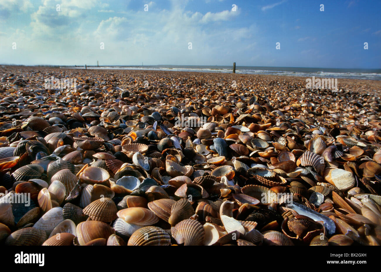 10817491 hi-res stock photography and images - Alamy