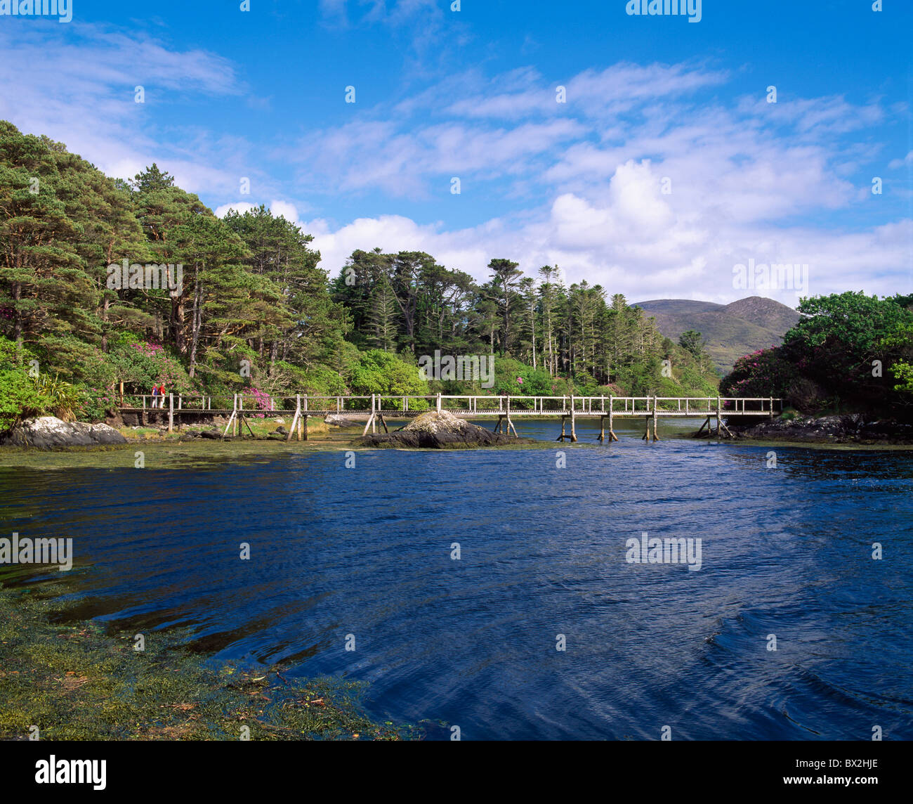 Derreen river hi-res stock photography and images - Alamy