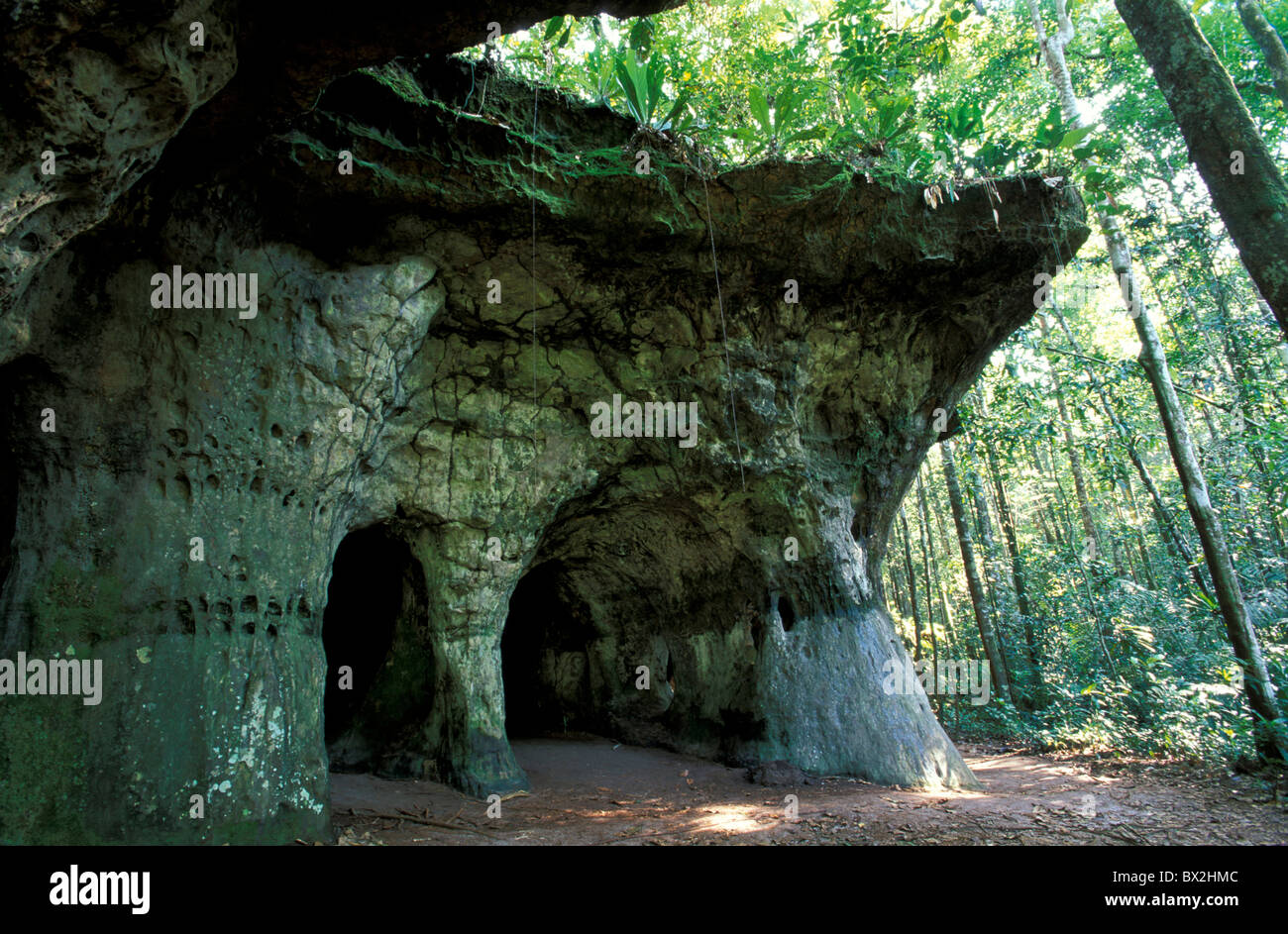Grotto Tropical Forest Iracema Waterfalls near Presidente Figueiredo ...