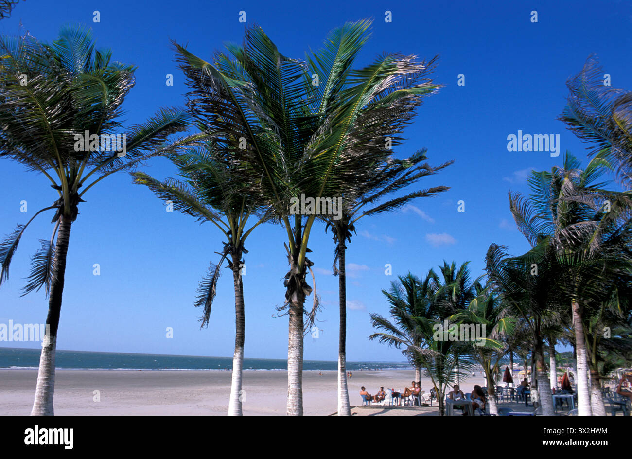 Praia do Calhau Beach Sao Luis Maranhao Brazil South America beach palm ...