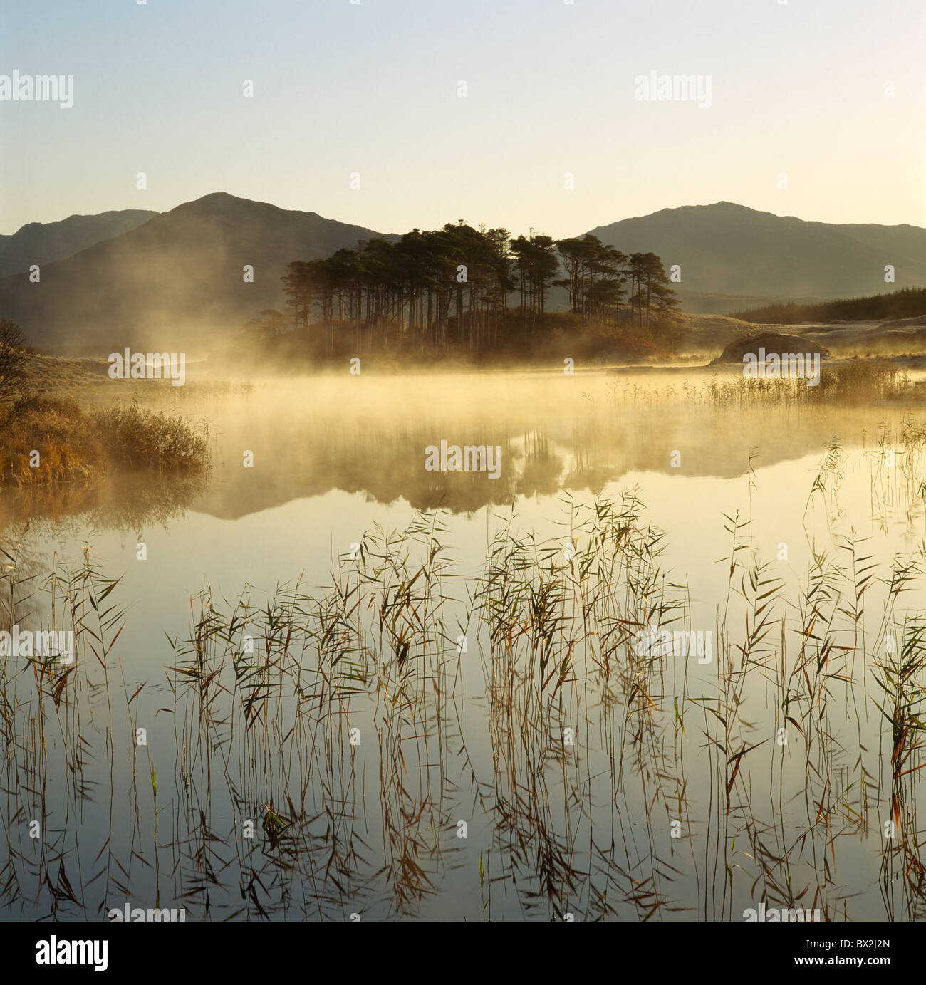 Mist Rising Off A Lake Stock Photo - Alamy