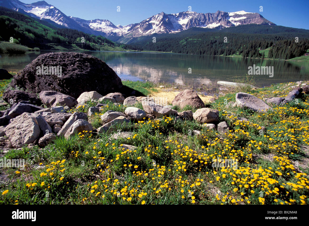 Rocky Mountains Lizard Head Pass Trout Lake Colorado USA America North ...