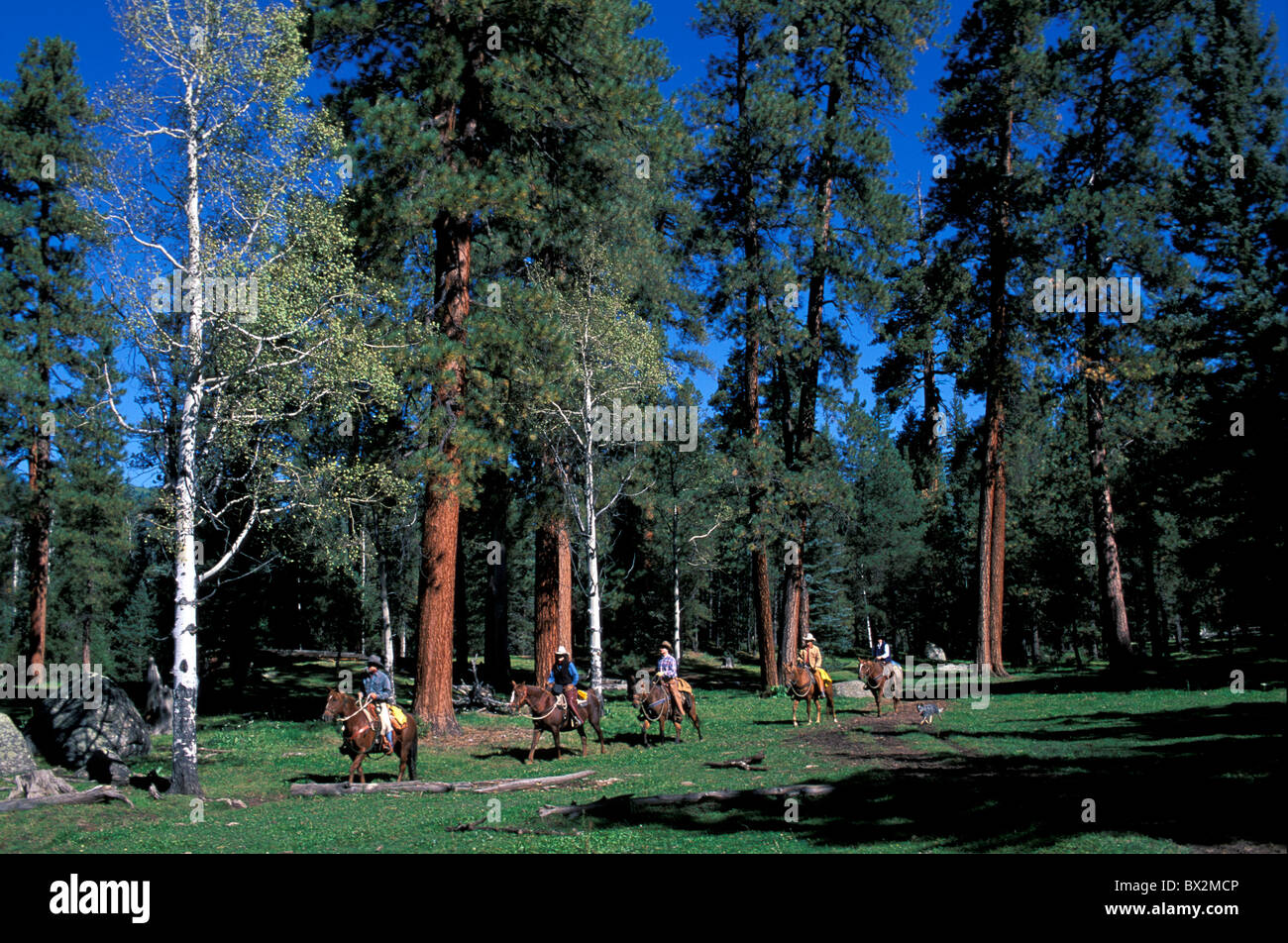 Horseback riding Wilderness Trails Ranch near Durango Colorado USA ...