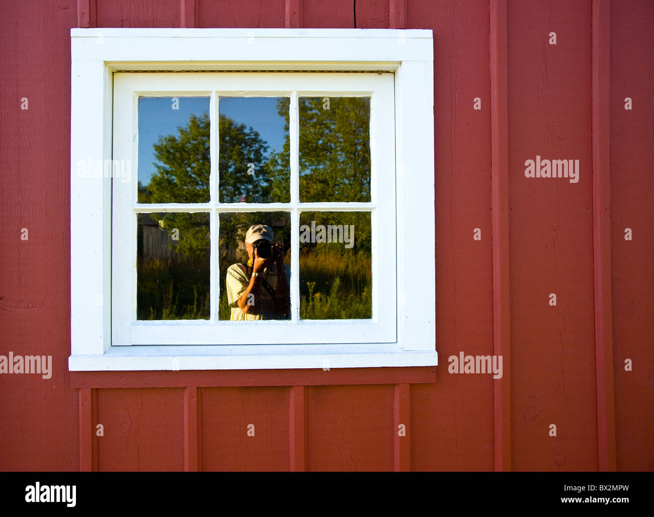 Trees reflection in window hi-res stock photography and images - Alamy