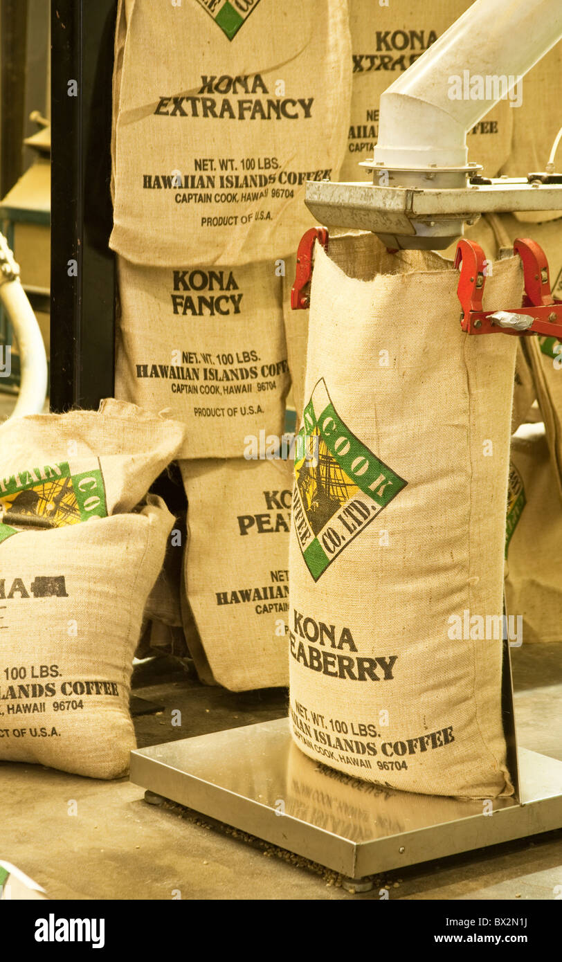 Kona Coffee beans, bulk processing Stock Photo - Alamy