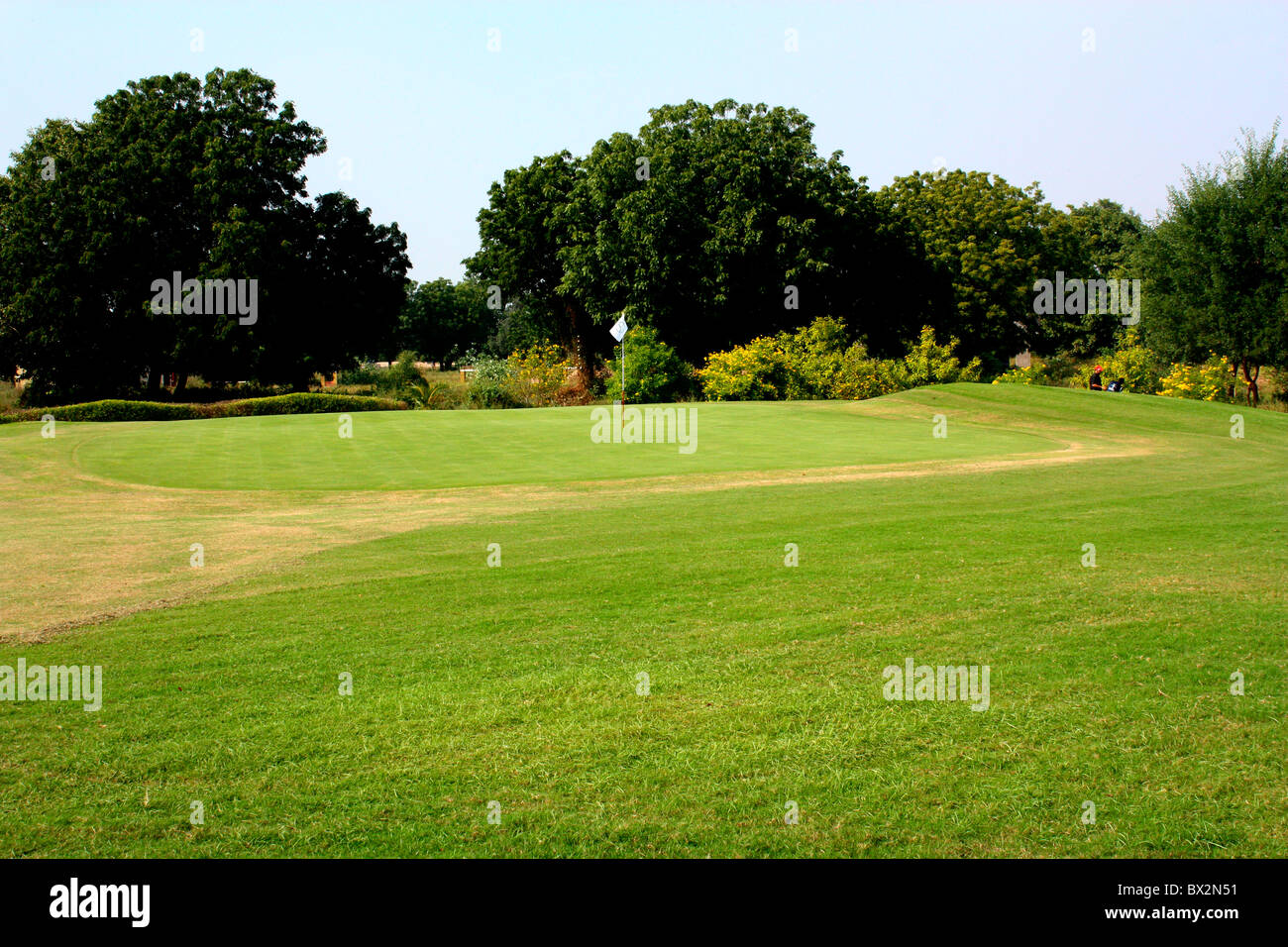 A green in a golf course Stock Photo - Alamy