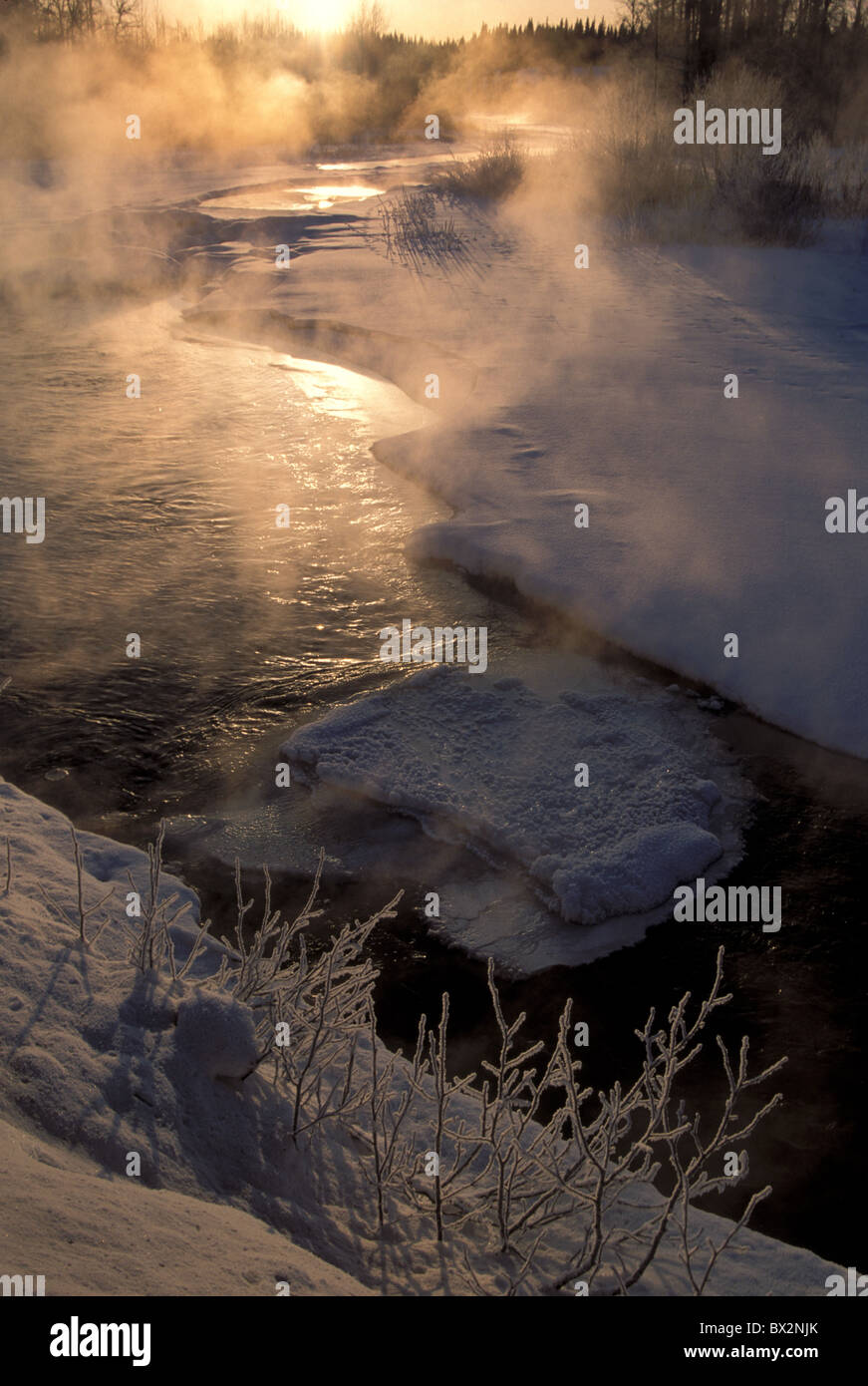 Alaska Anchor river freezing from hoarfrost cold ice Kenai Peninsula ...