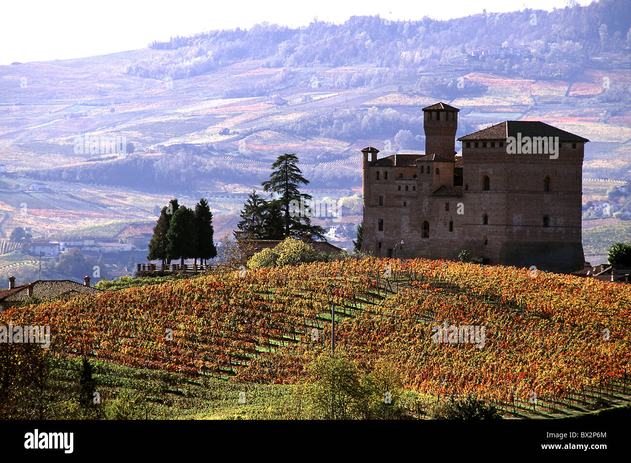 Castello di Grinzane Cavour castle wine vineyard cultivation outhouse ...