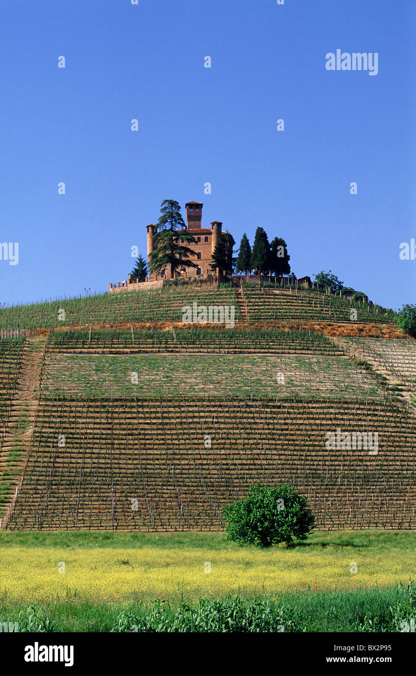 Castello di Grinzane Cavour castle wine vineyard cultivation outhouse ...