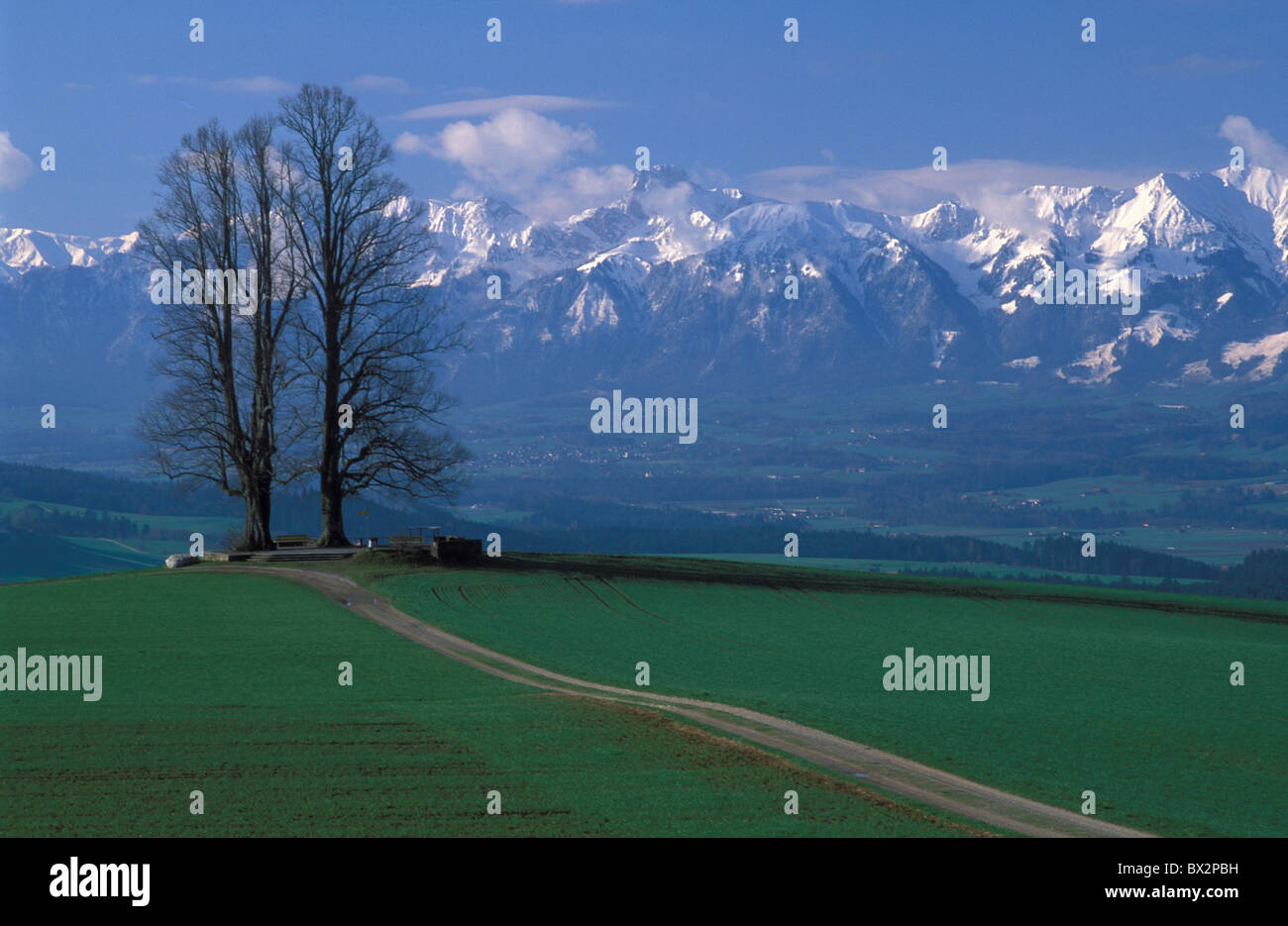 Aare Valley Bernese Alps Bernese Oberland Canton Bern landscape ...