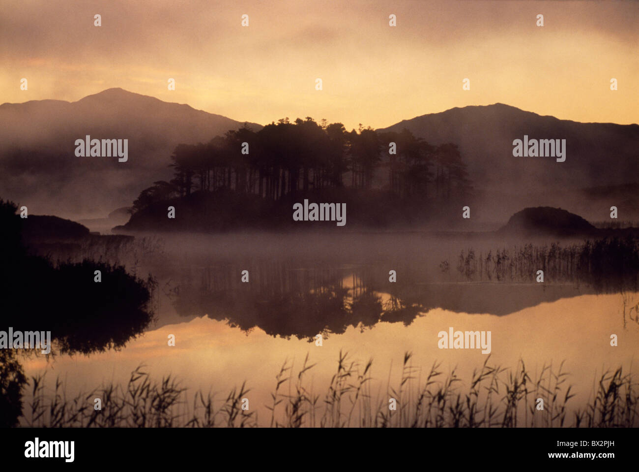 Mountains And Lake In Fog, Ireland Stock Photo - Alamy