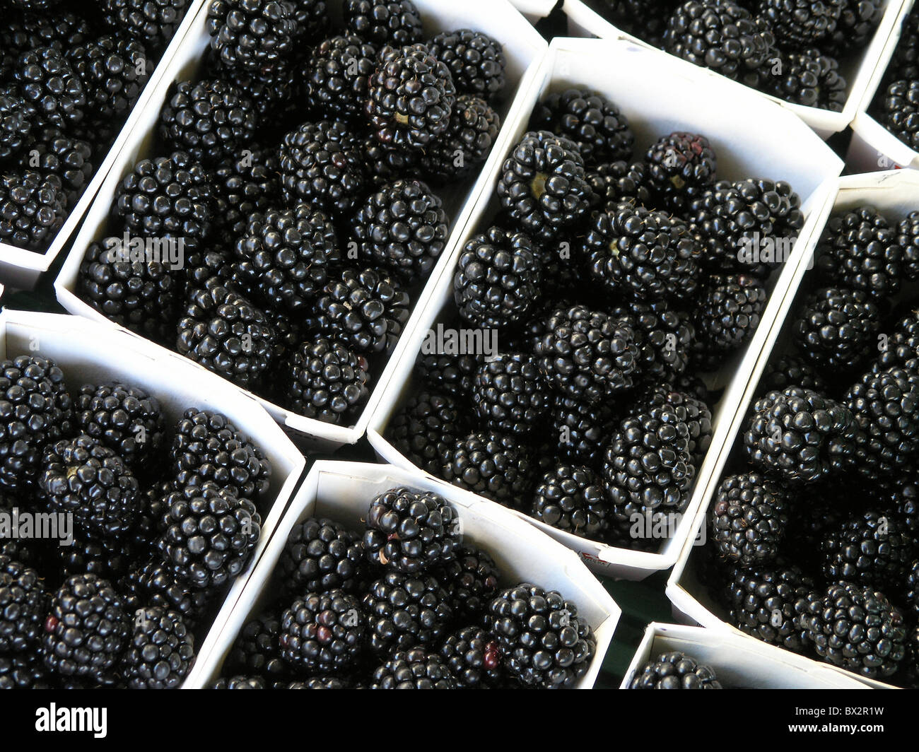 blackberries peelings little box packaging berries freshly fruit food ...