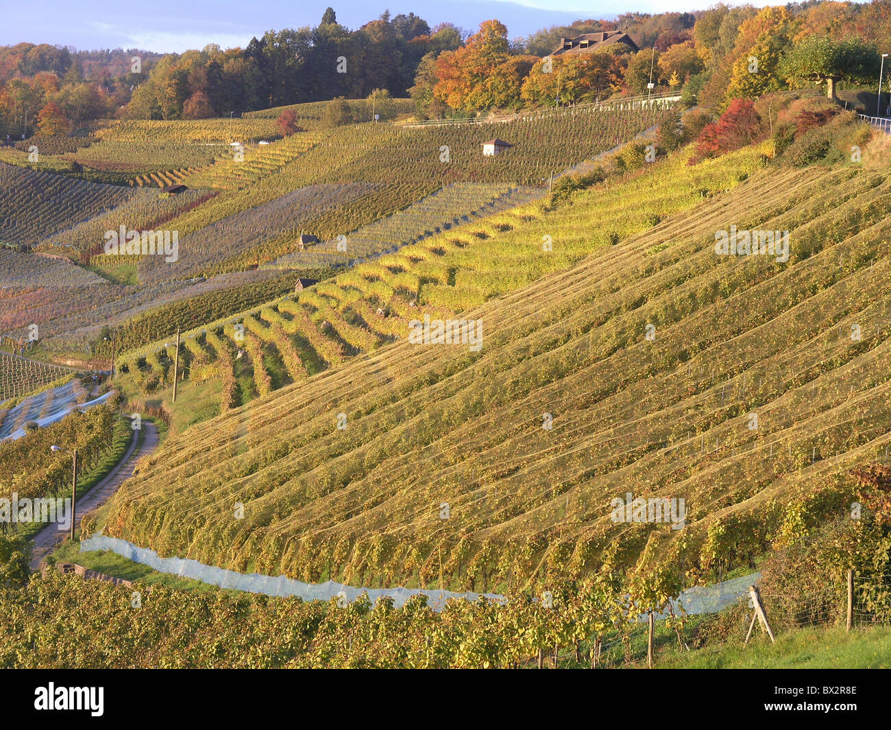 Slope steep slope hi-res stock photography and images - Alamy