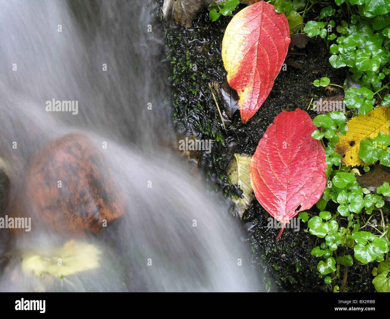 Still brook hi-res stock photography and images - Alamy