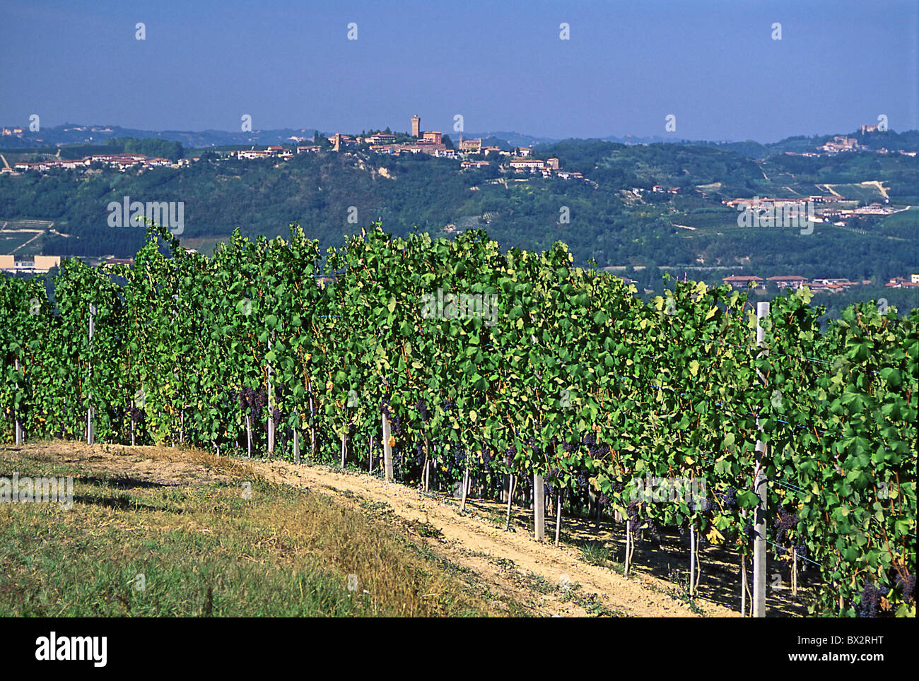 Pelaverga hi-res stock photography and images - Alamy
