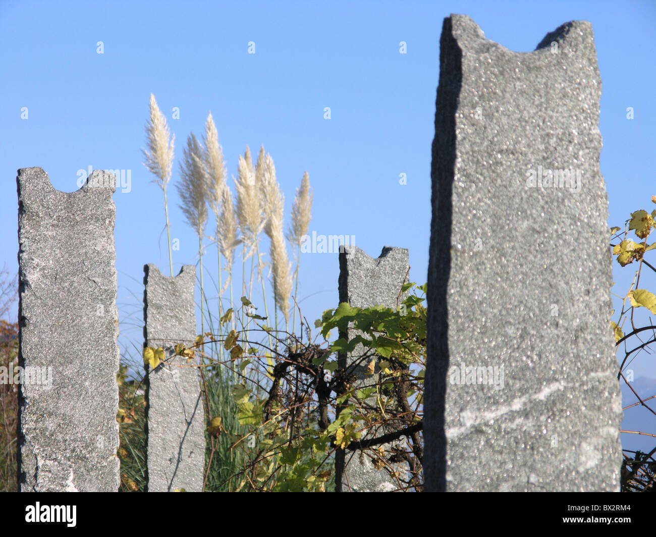 pergola stone props shoots wine reed Stock Photo - Alamy
