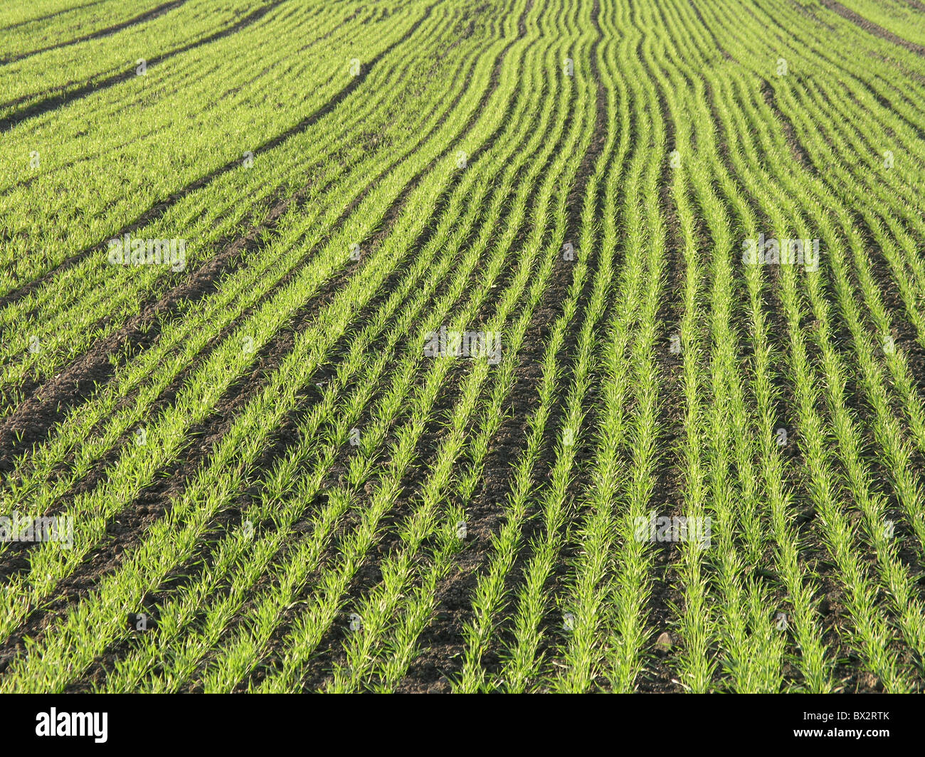 10817851 hi-res stock photography and images - Alamy