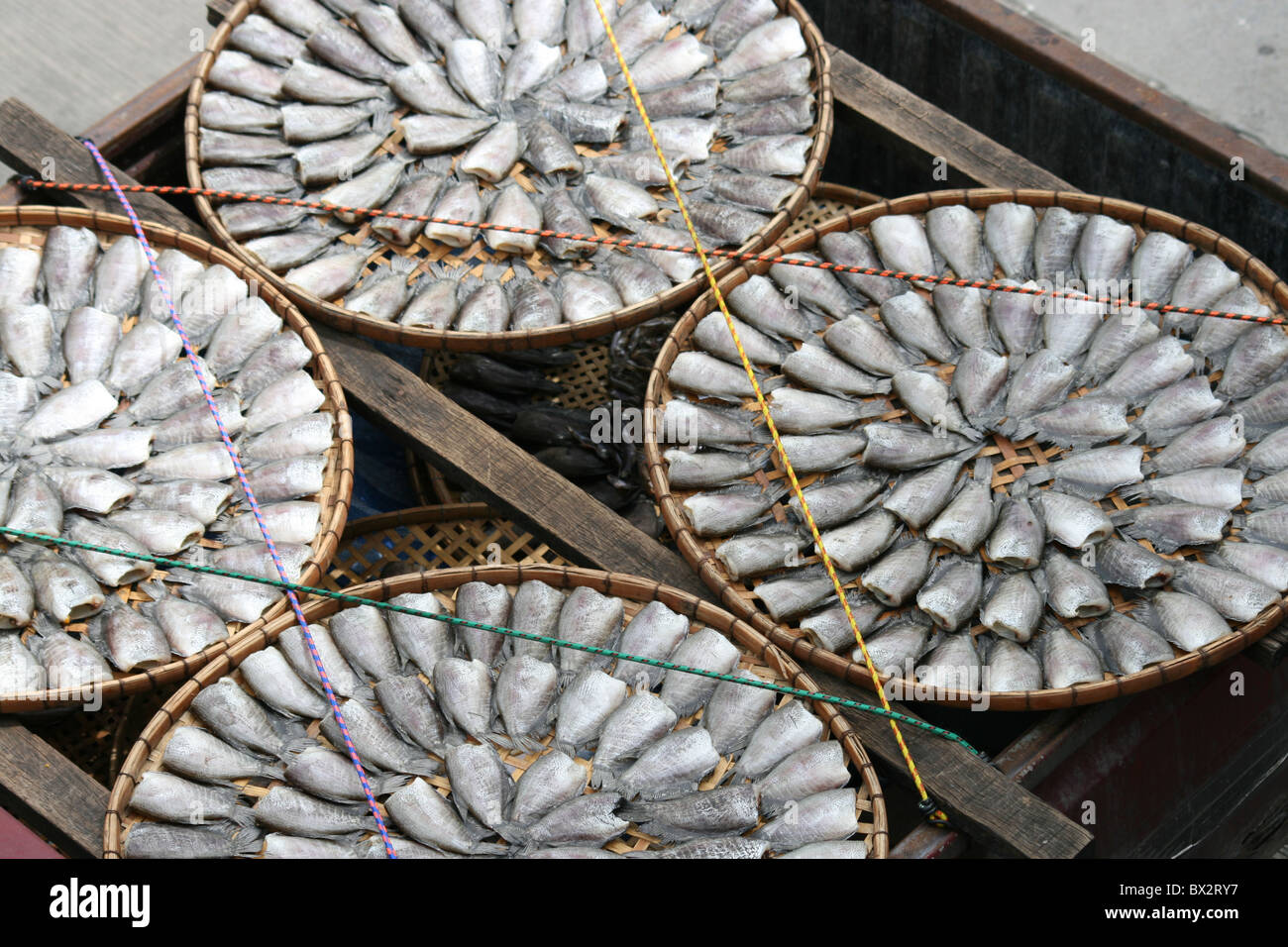 Fish drying in the sun in Bangkok, Thailand Stock Photo - Alamy