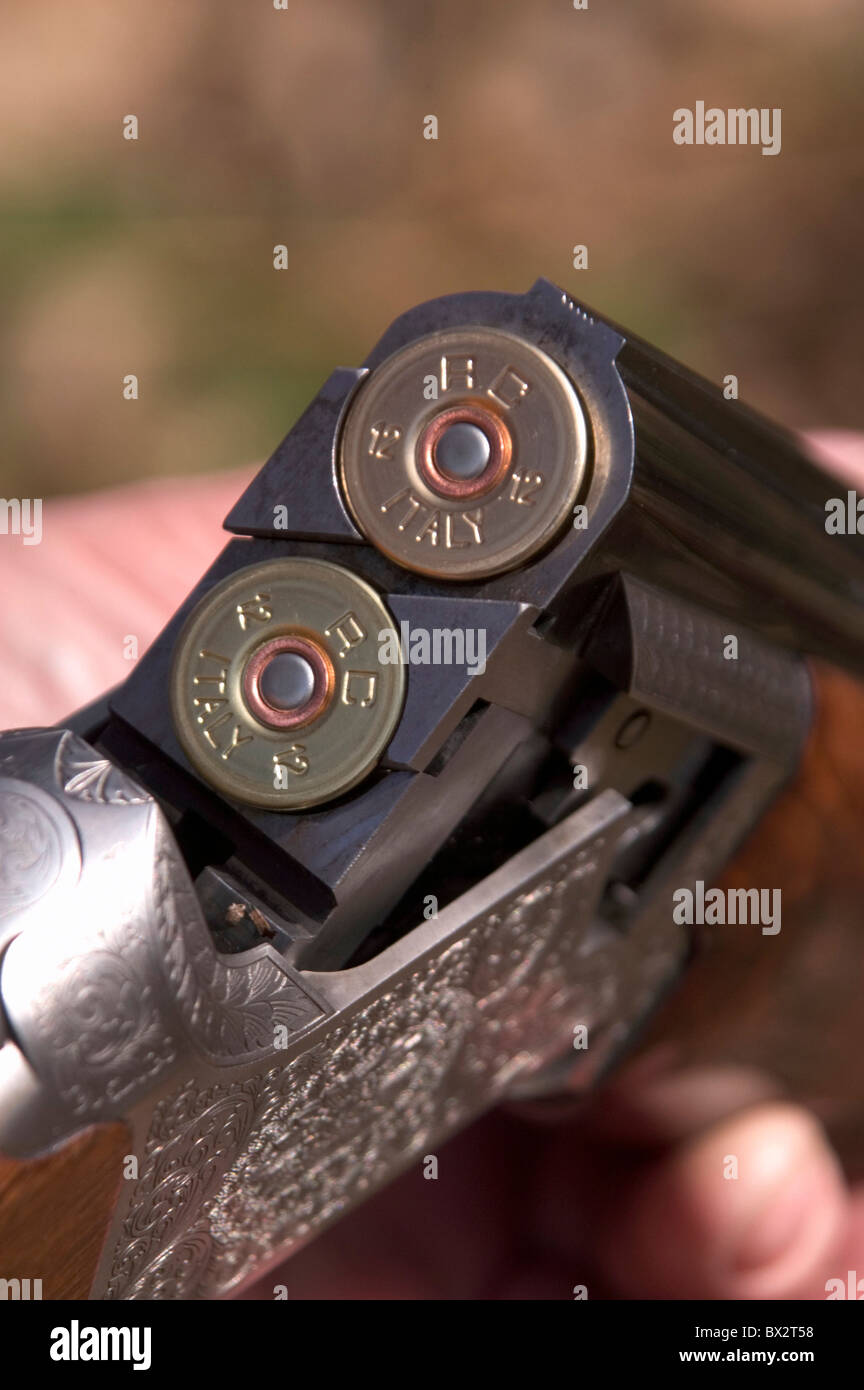 hunt hunting hunter rifleman man elderly man gun gun wholemeal gun ...