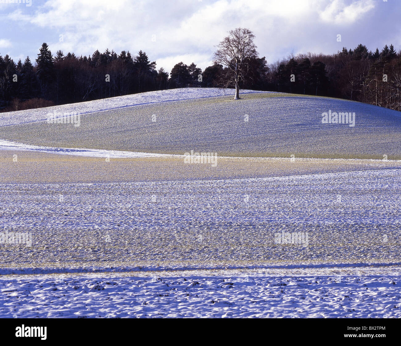 10817918 hi-res stock photography and images - Alamy