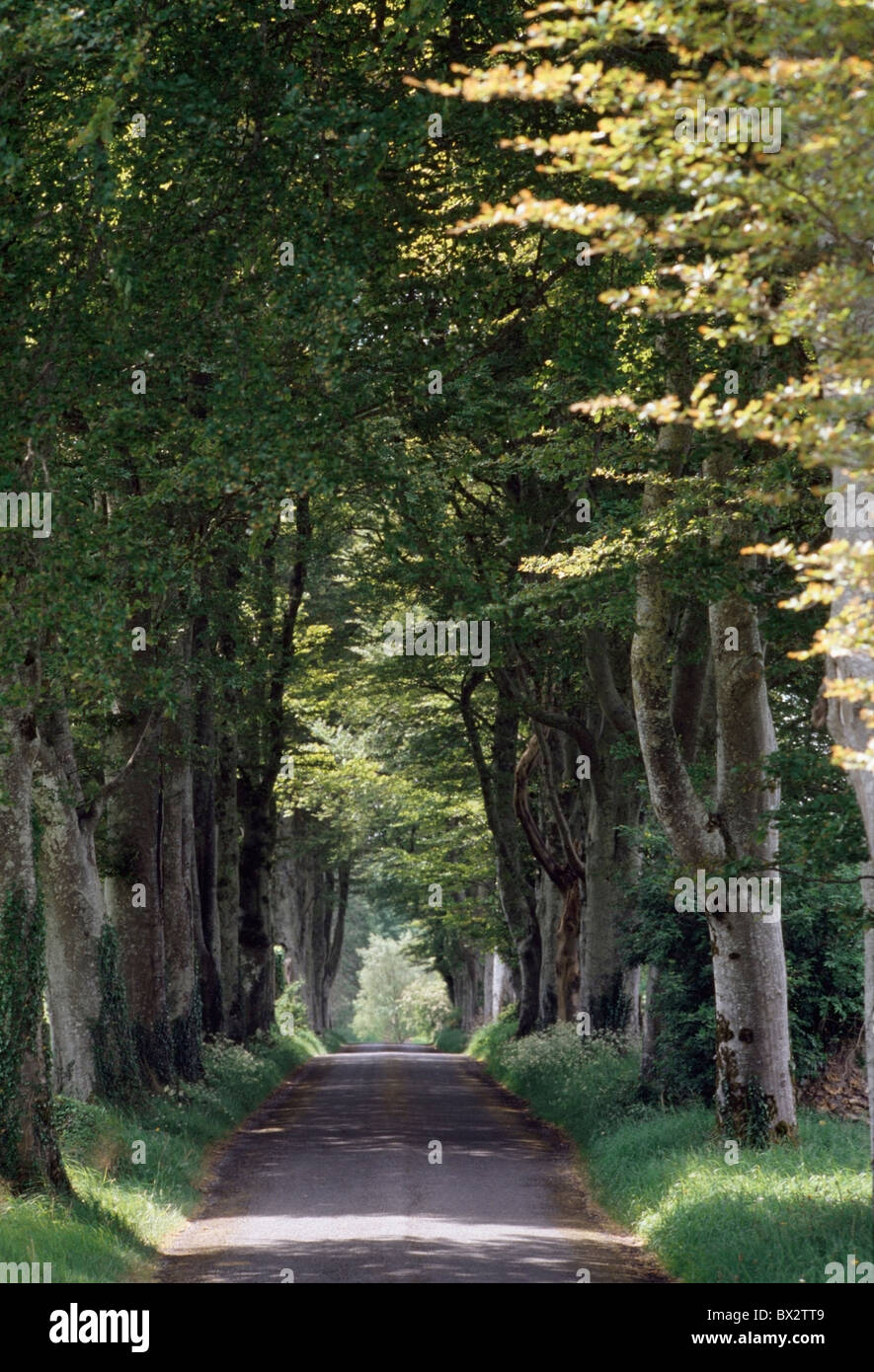 County roscommon hi-res stock photography and images - Alamy