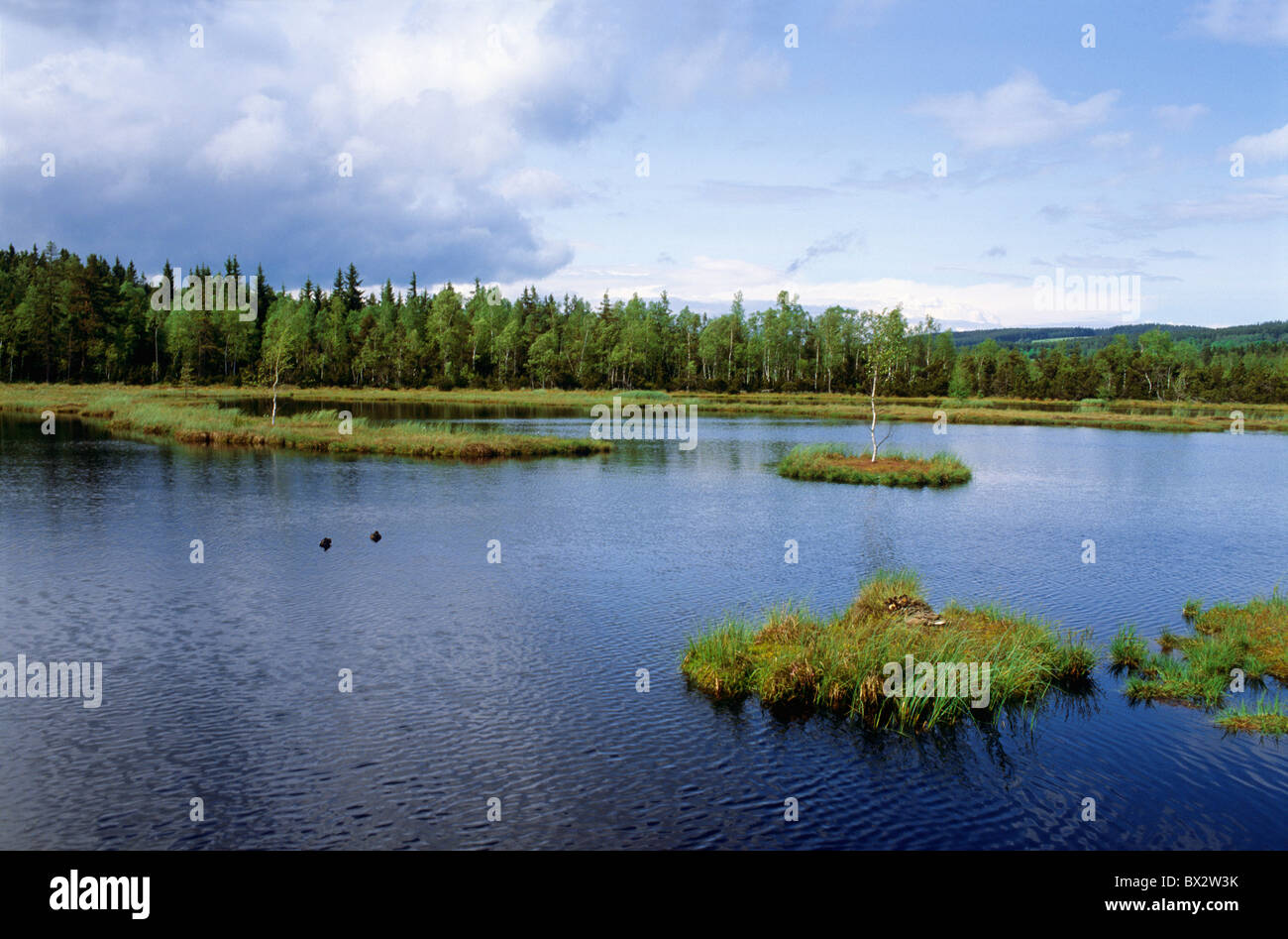Birds of colour hi-res stock photography and images - Alamy