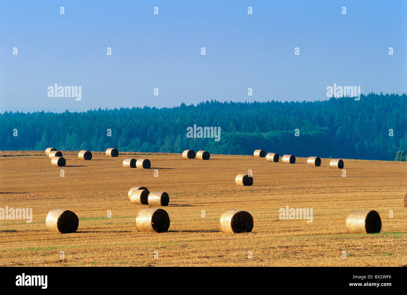 Agriculture Bale Bales Color Colour Concept Concepts Country ...