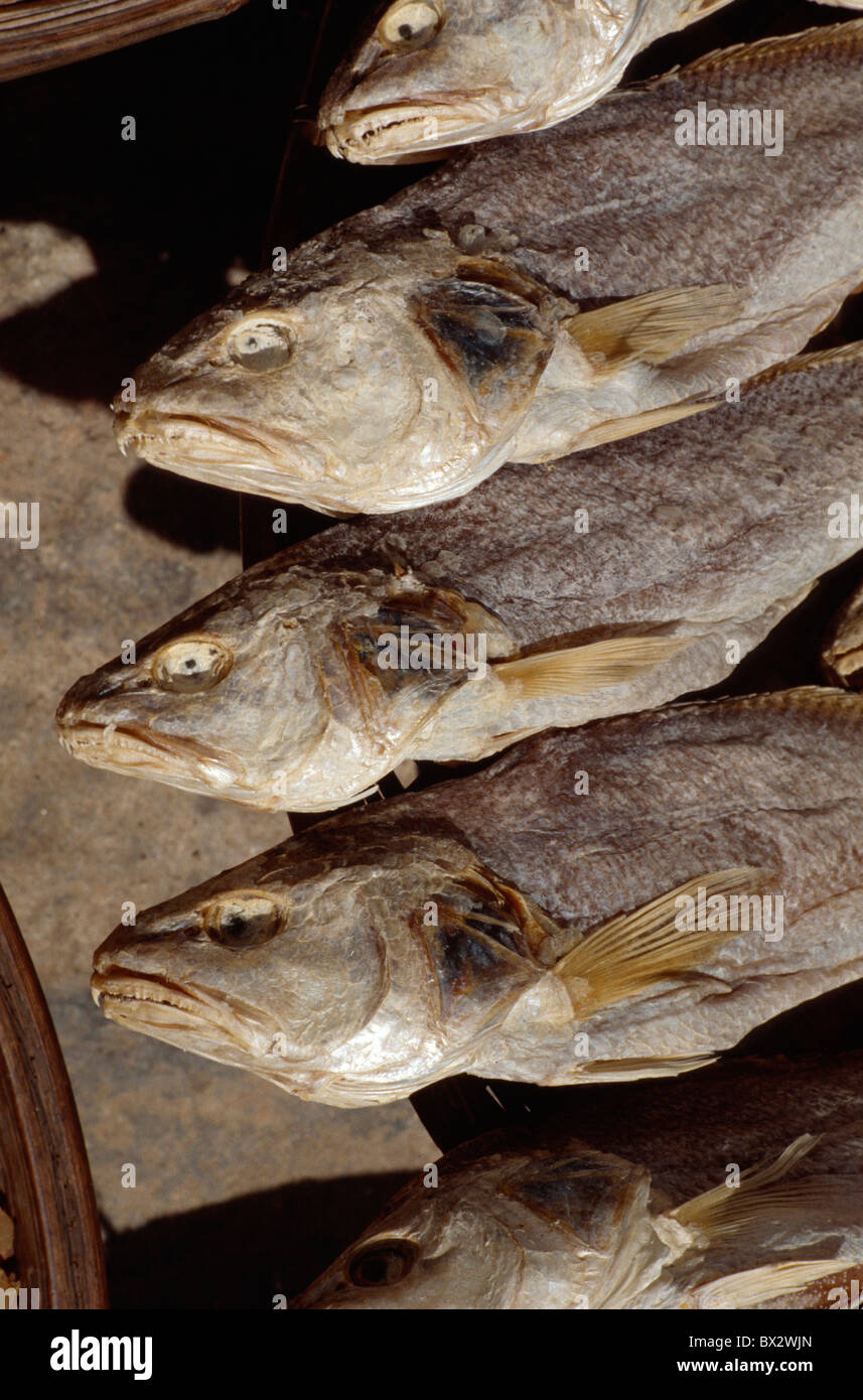 Dried Fish in Macau, China Stock Photo - Alamy